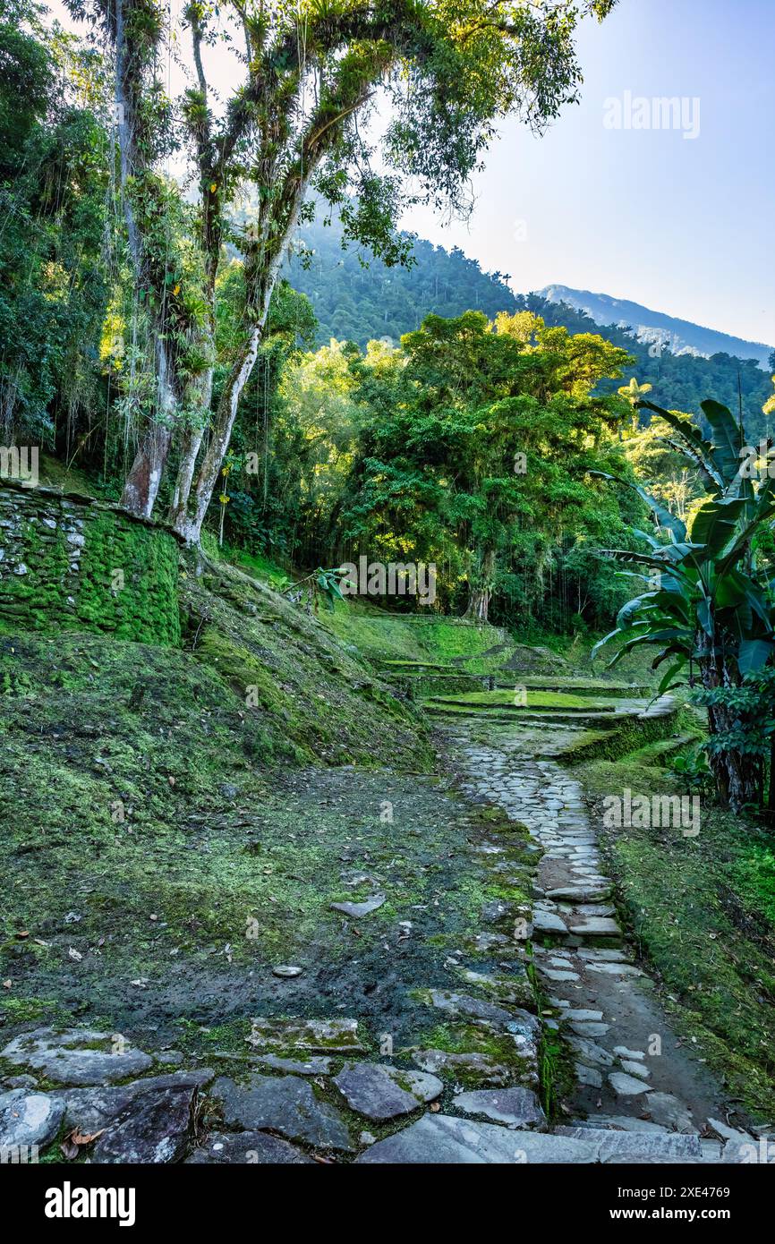 Ciudad Perdida, ancient ruins in Sierra Nevada mountains. Santa Marta ...