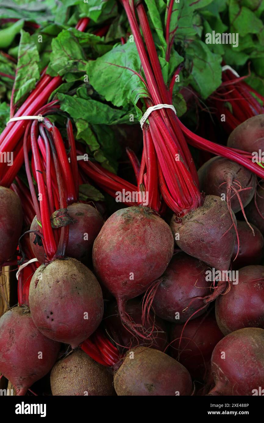Close up bunches green hi-res stock photography and images - Alamy