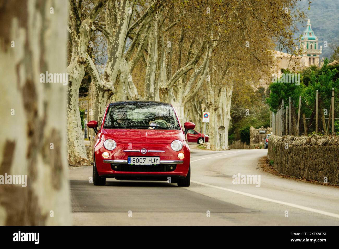 Los troncos hi-res stock photography and images - Alamy