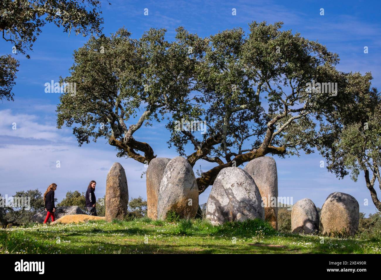 Ecosistema vertical hi-res stock photography and images - Alamy