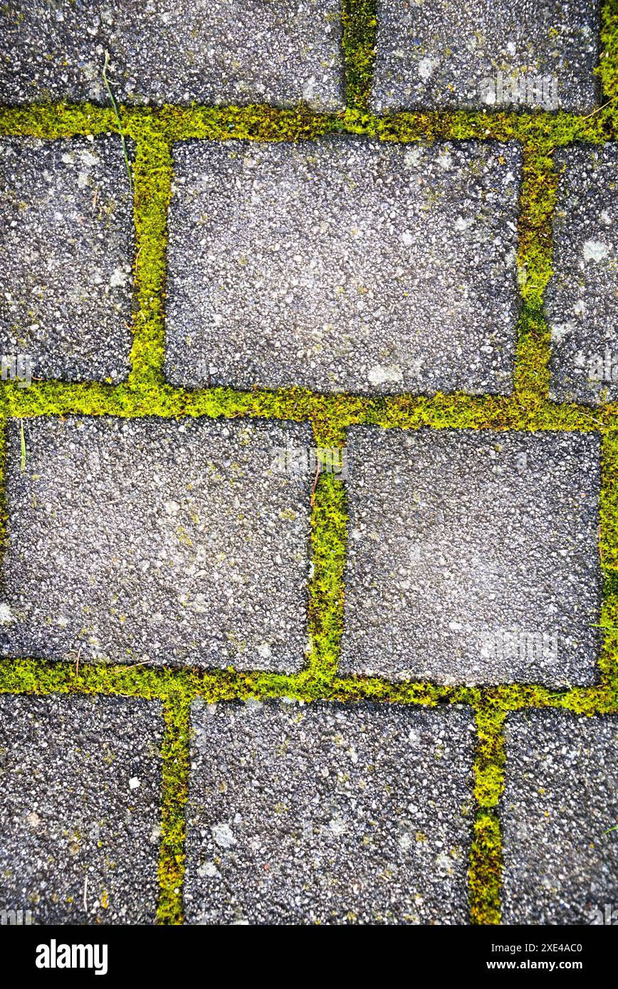 Gray paving stones with green overgrown joints - background grid ...