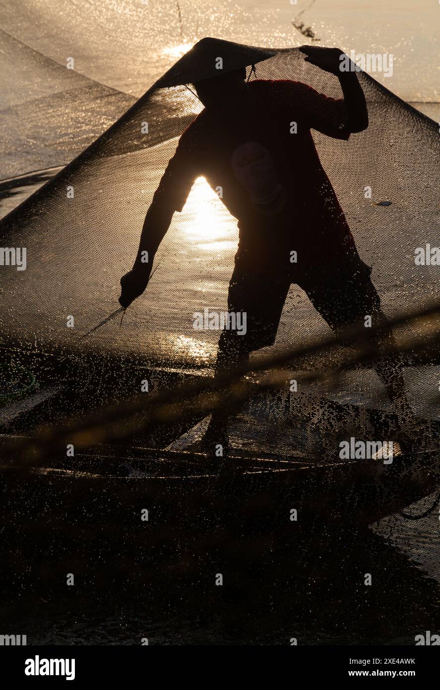 Dai jenkins hi-res stock photography and images - Alamy