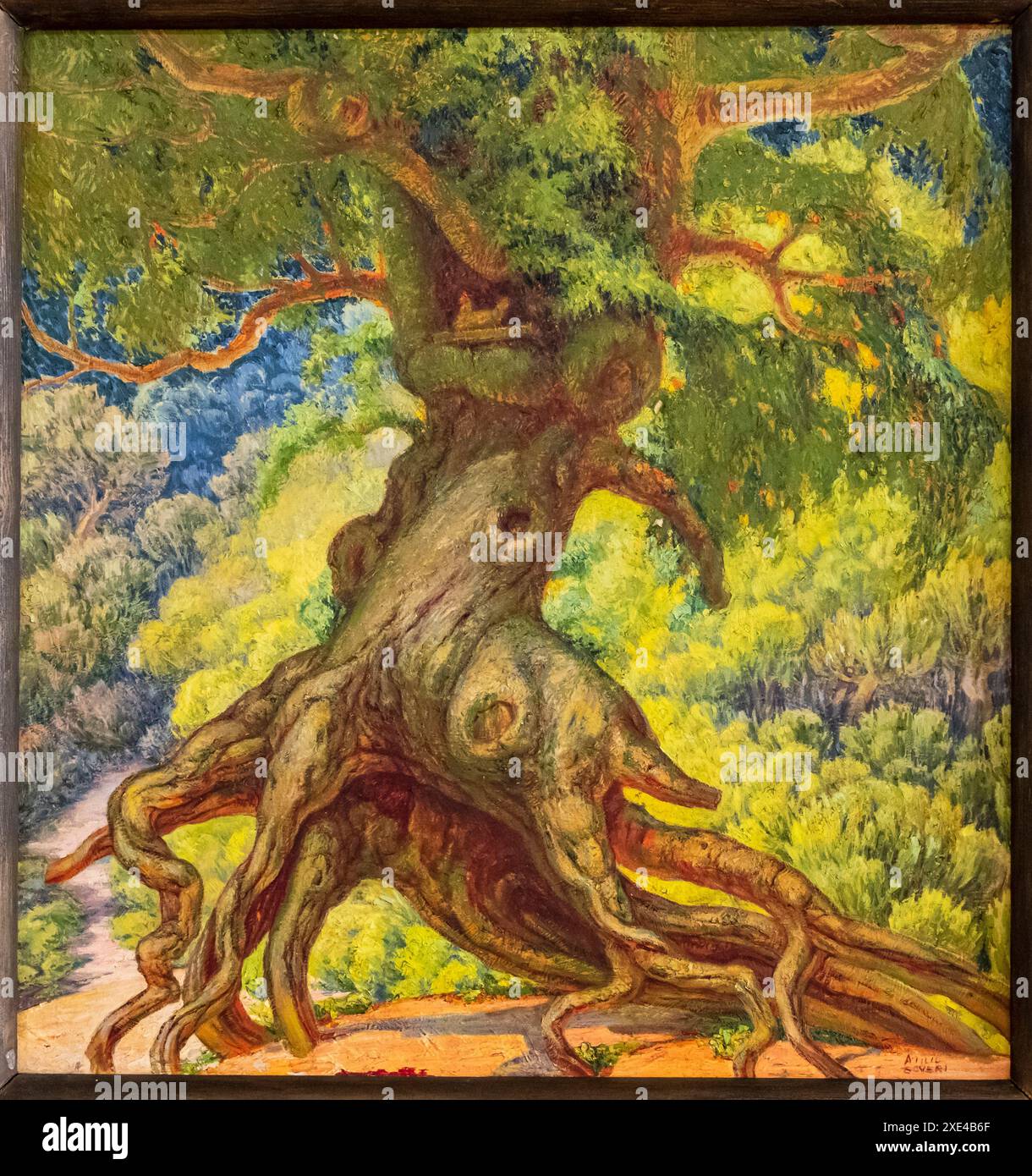 Tree coloring hi-res stock photography and images - Alamy