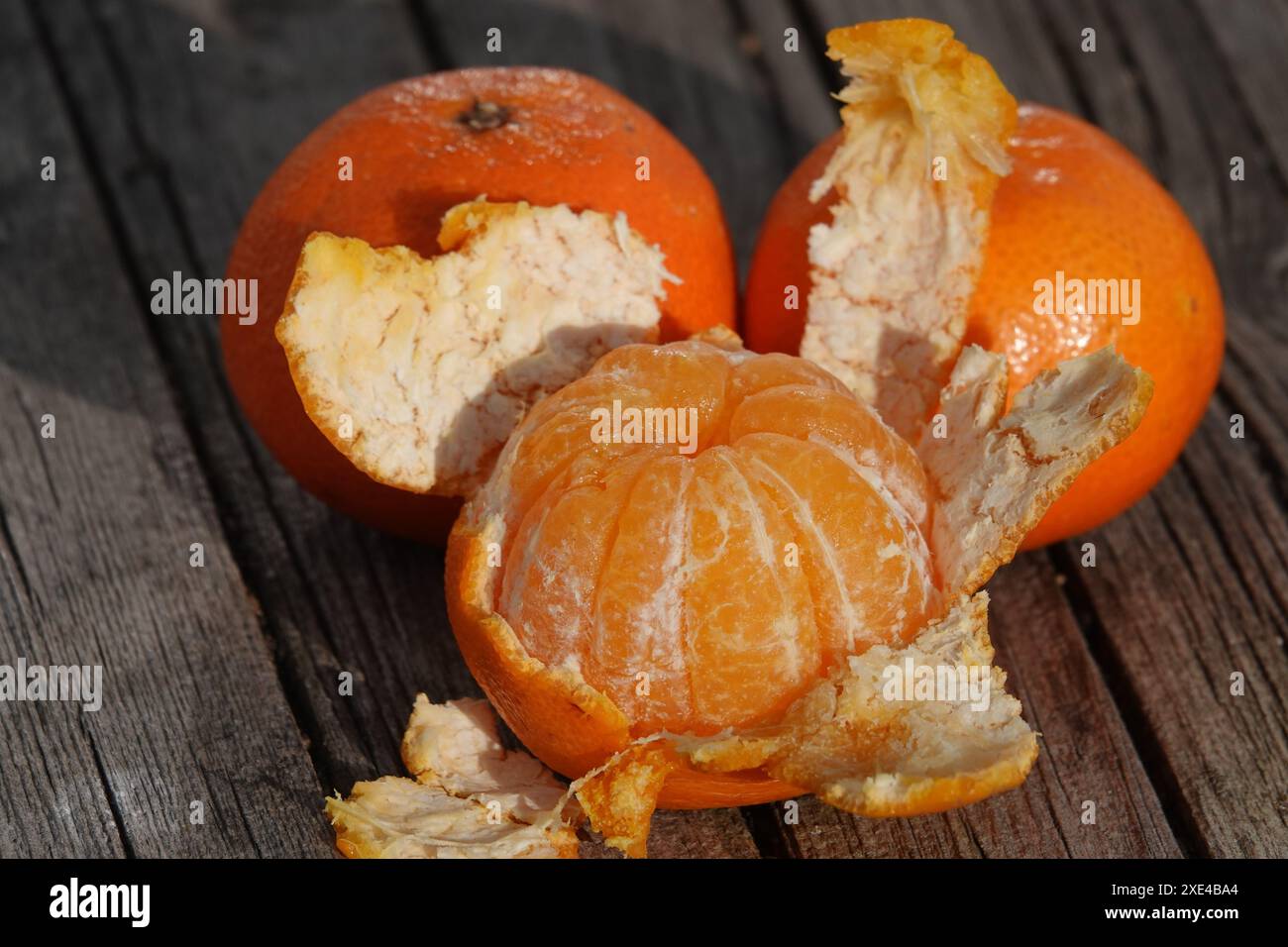 Citrus clementina hi-res stock photography and images - Alamy