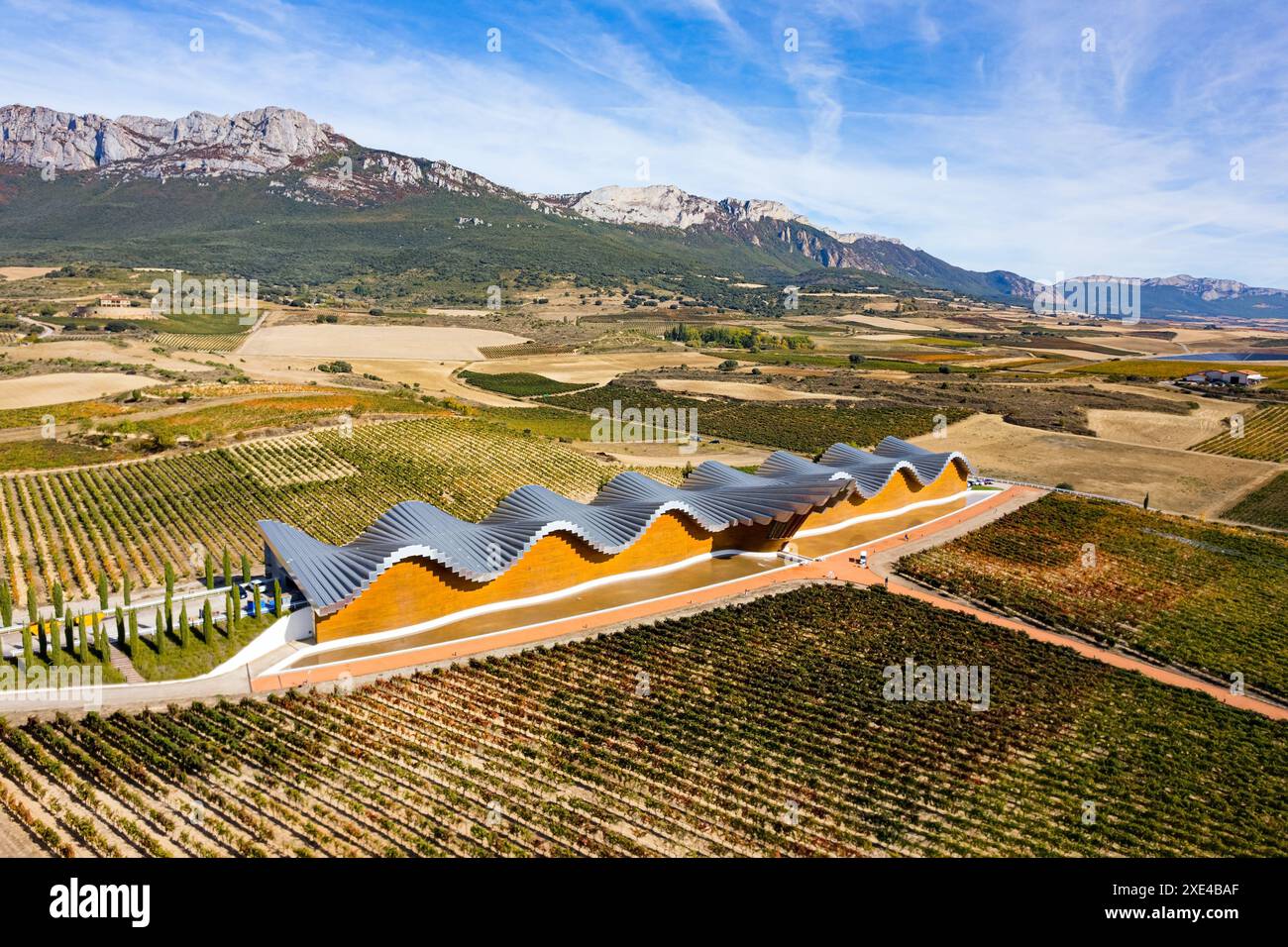 The architecture of Bodegas Ysios Stock Photo - Alamy