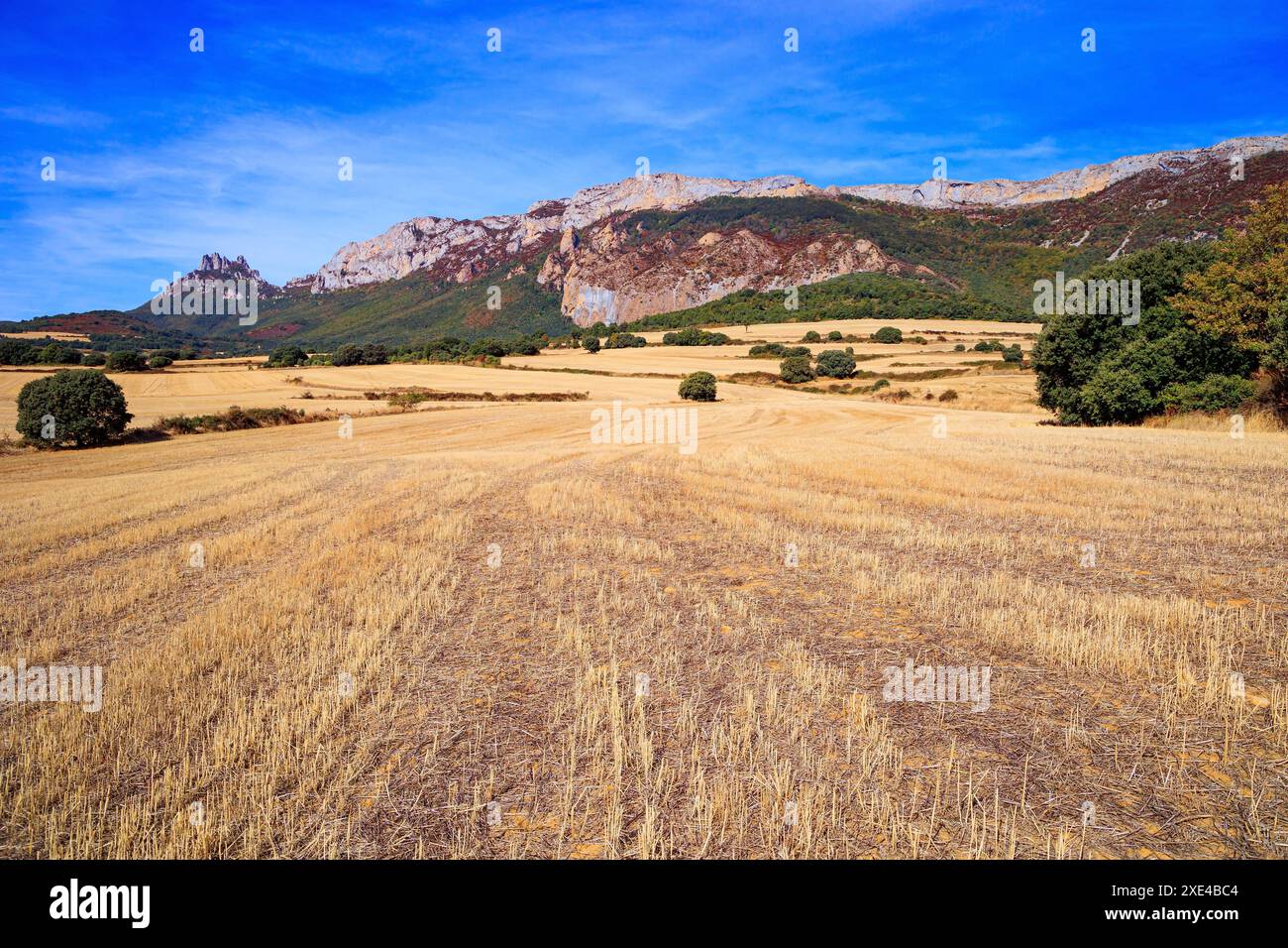 Rural farming growth hi-res stock photography and images - Alamy