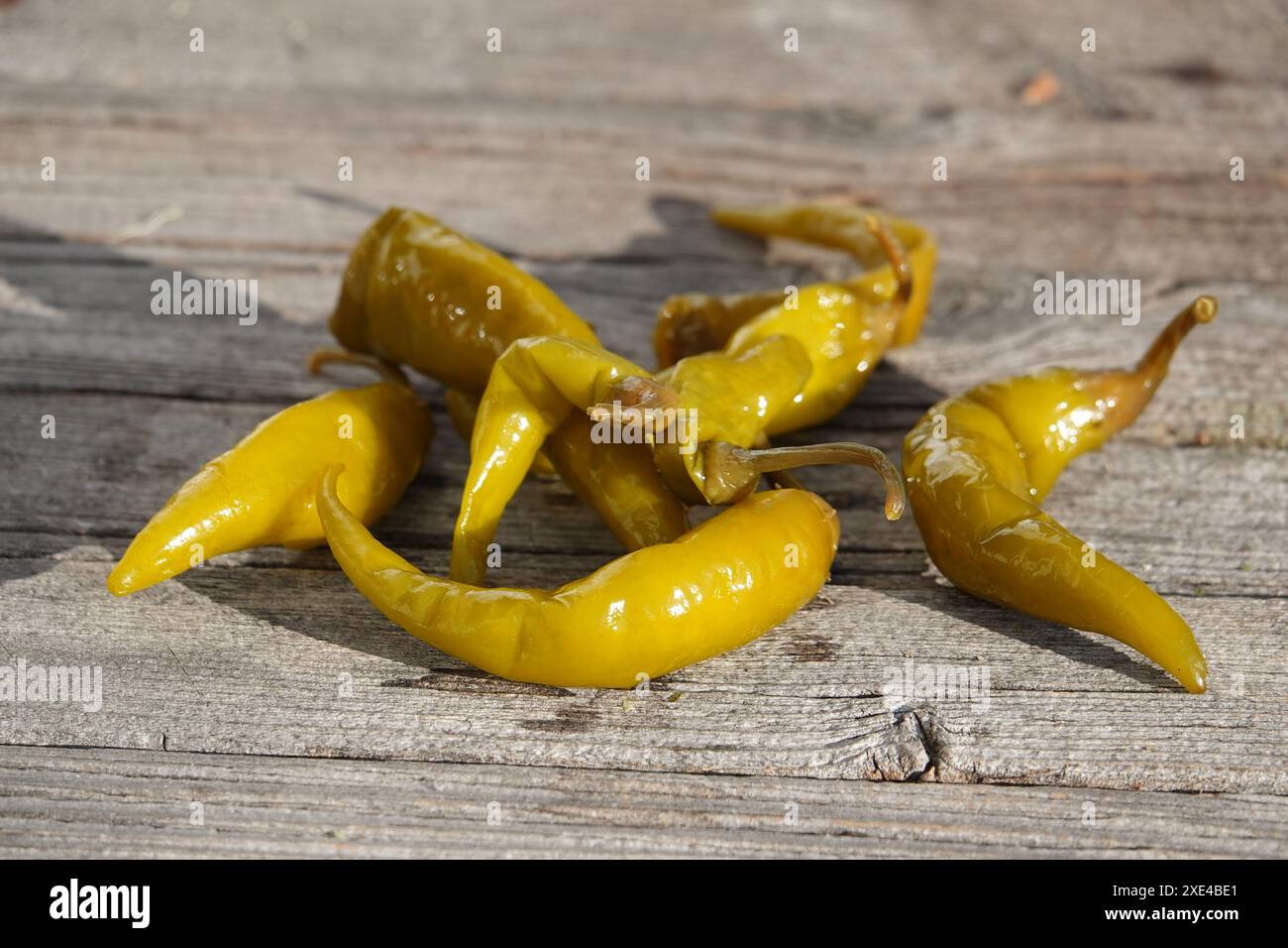 Capsicum frutescens, Pepperoni, chili pepper Stock Photo - Alamy