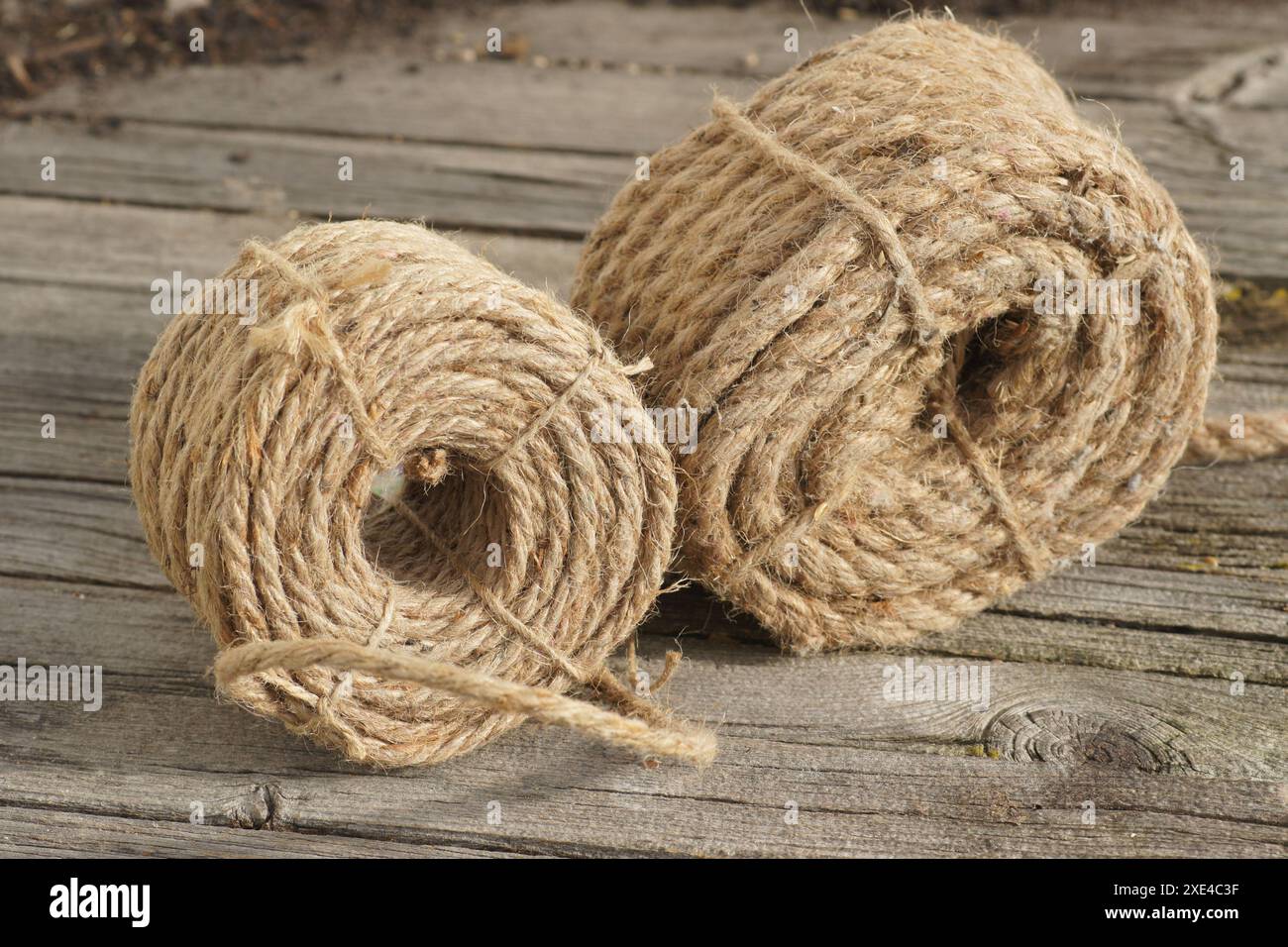 Corchorus, Jute, string Stock Photo - Alamy