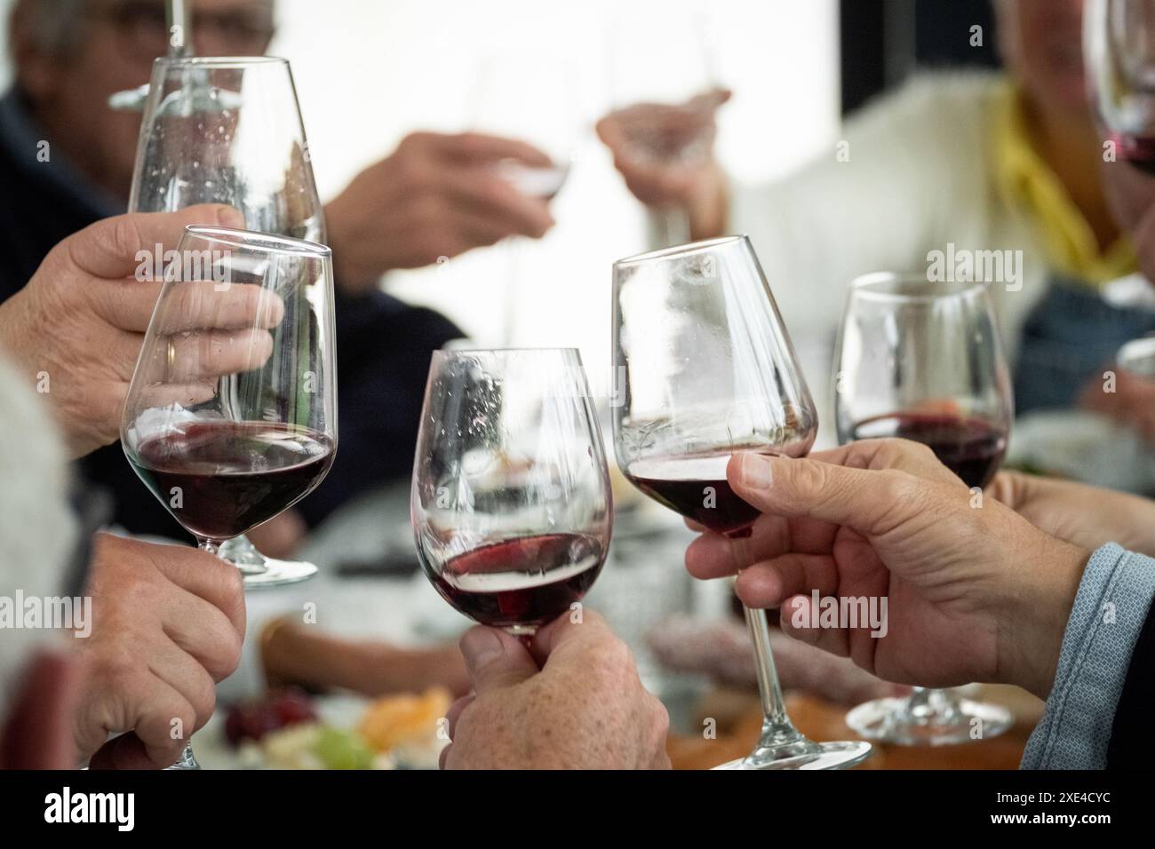 Friends toasting drinking red wine hi-res stock photography and images ...