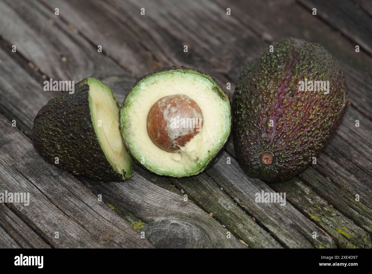 Persea americana seed hi-res stock photography and images - Alamy