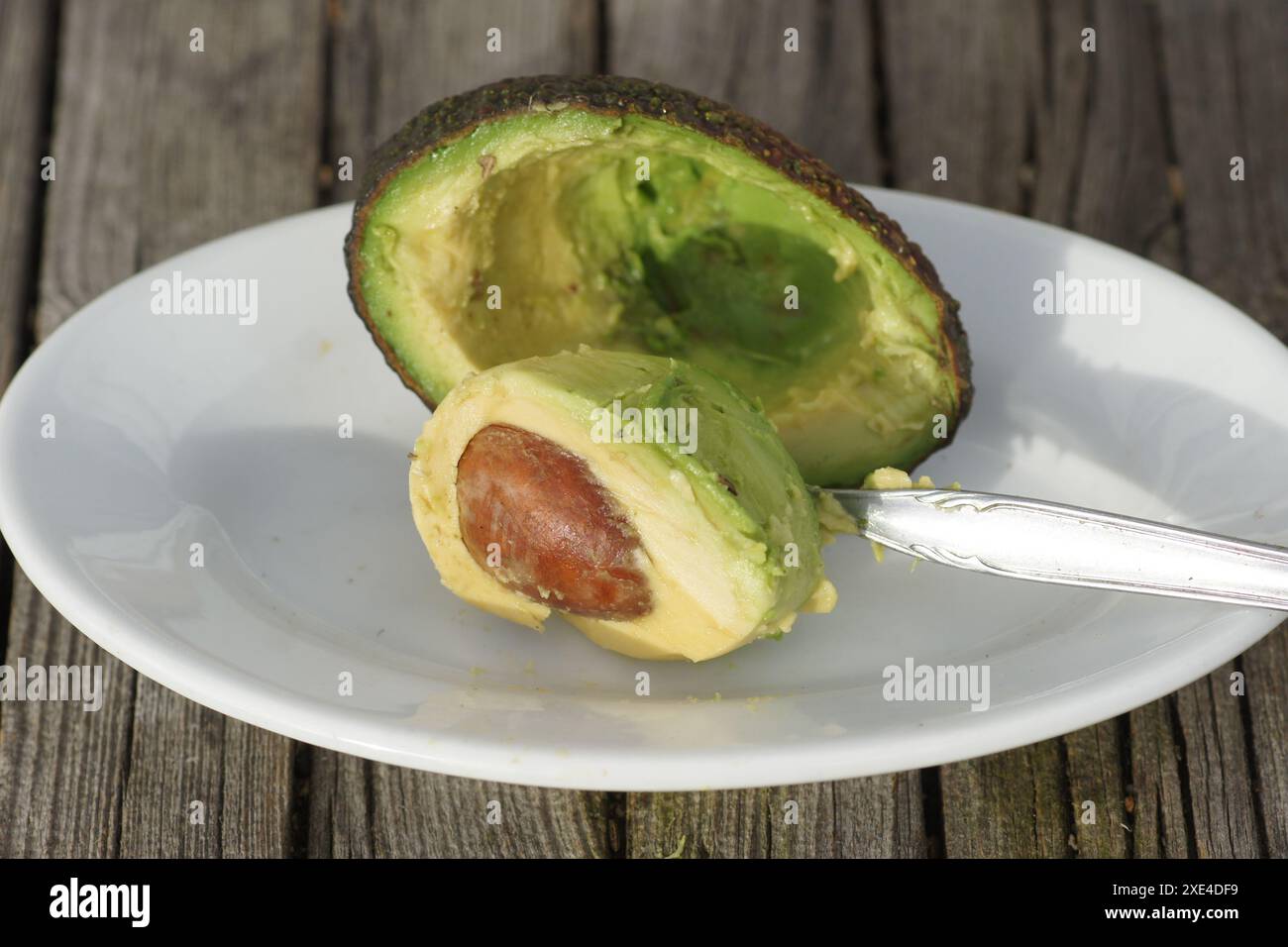 Persea americana seed hi-res stock photography and images - Alamy