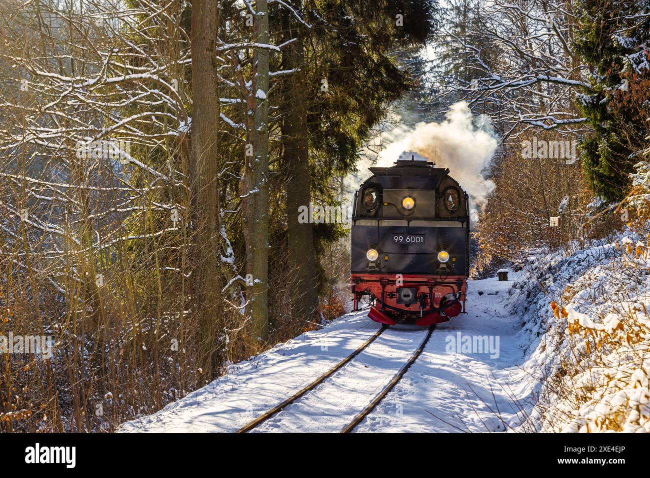 Selketalbahn the Selketal under steam Harzer Schmalspurbahn Stock Photo ...