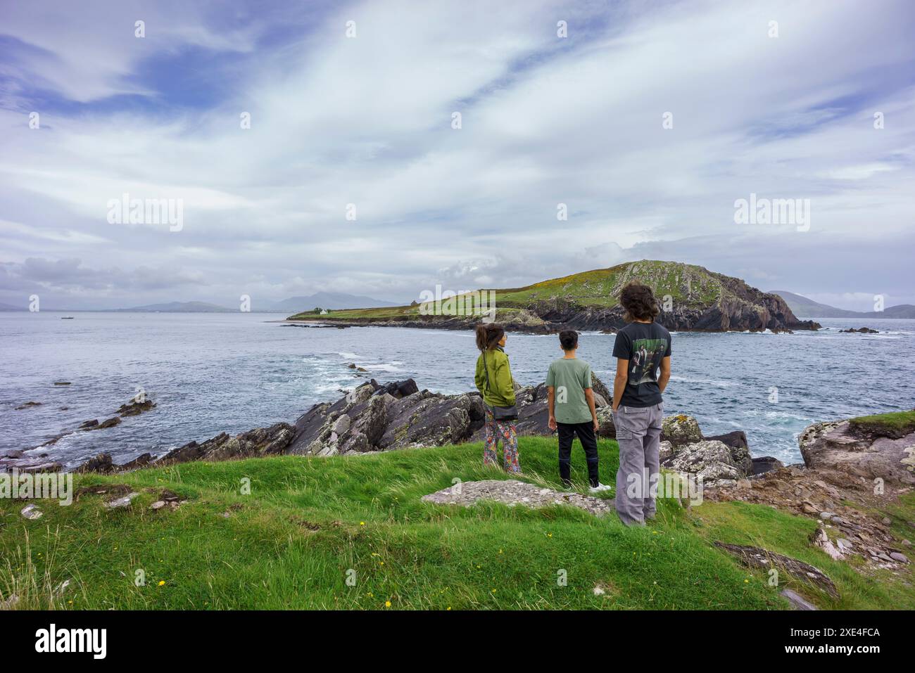 Walking along the grassy coast Stock Photo - Alamy
