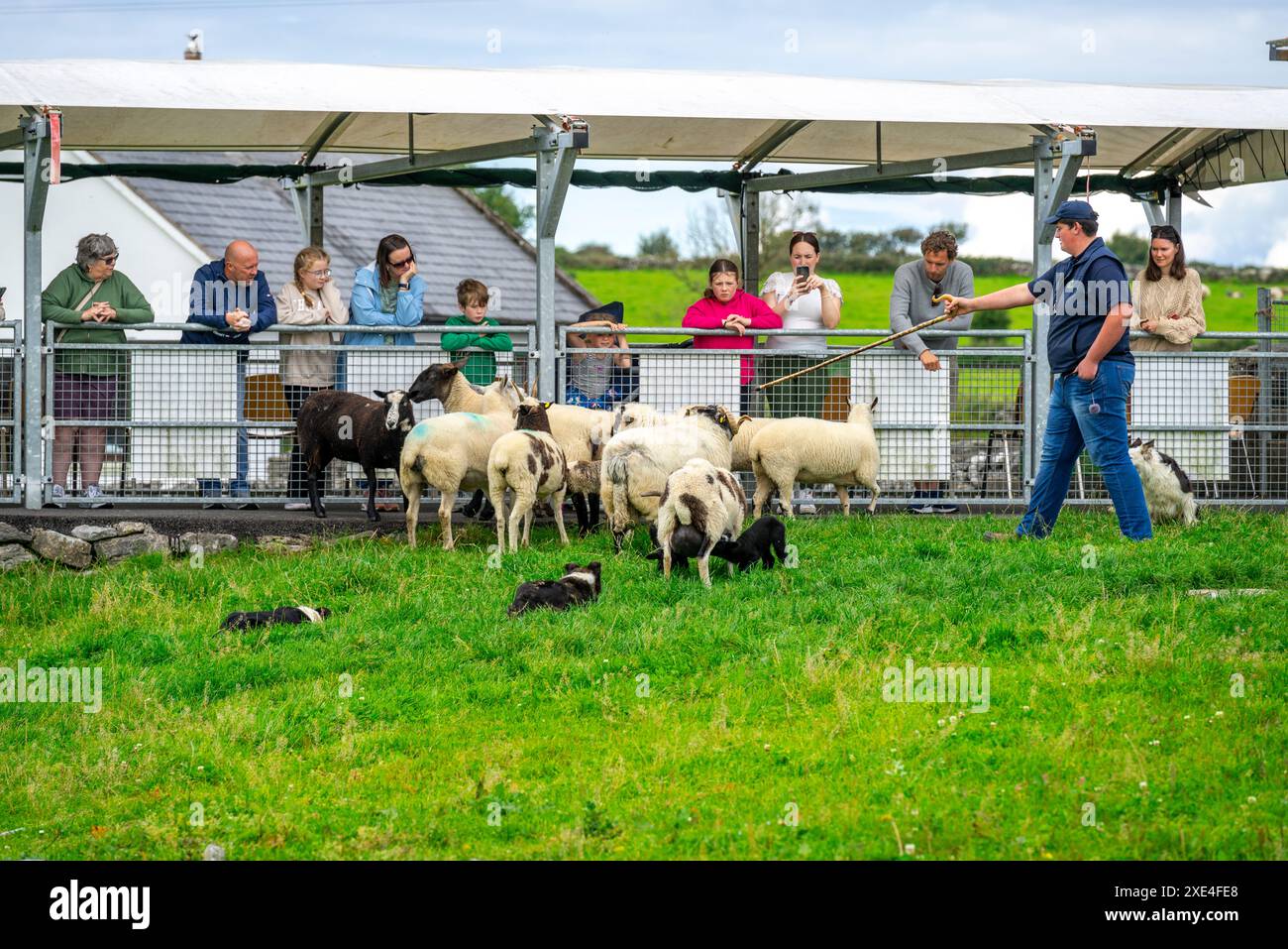 Training sec hi-res stock photography and images - Alamy