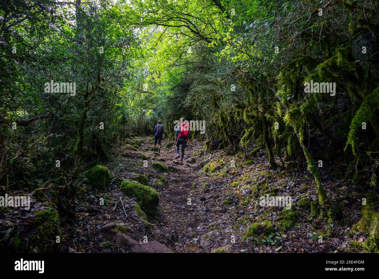 Hiker on route GR-150 Stock Photo - Alamy