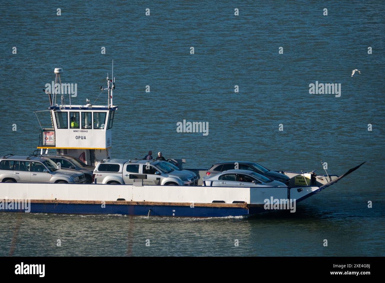 Vehicle ferry between Okarito and Opua the Bay of Islands, New Zealand ...