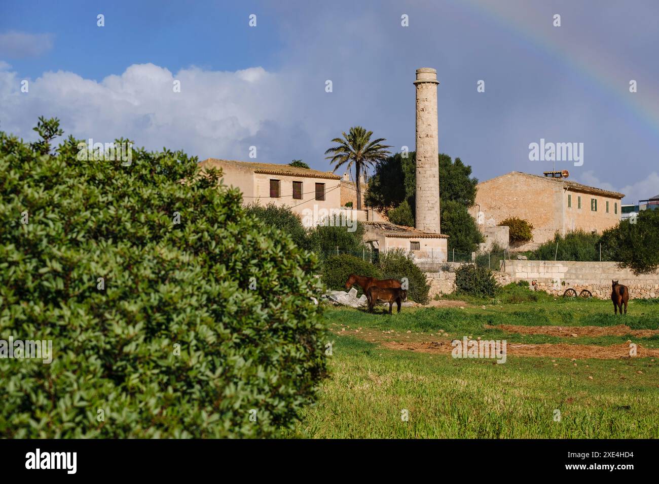 Sa Coma factory Stock Photo - Alamy