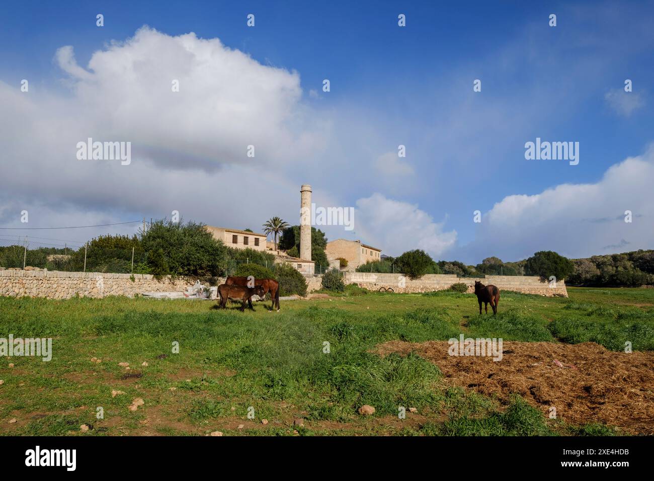Sa Coma factory Stock Photo - Alamy
