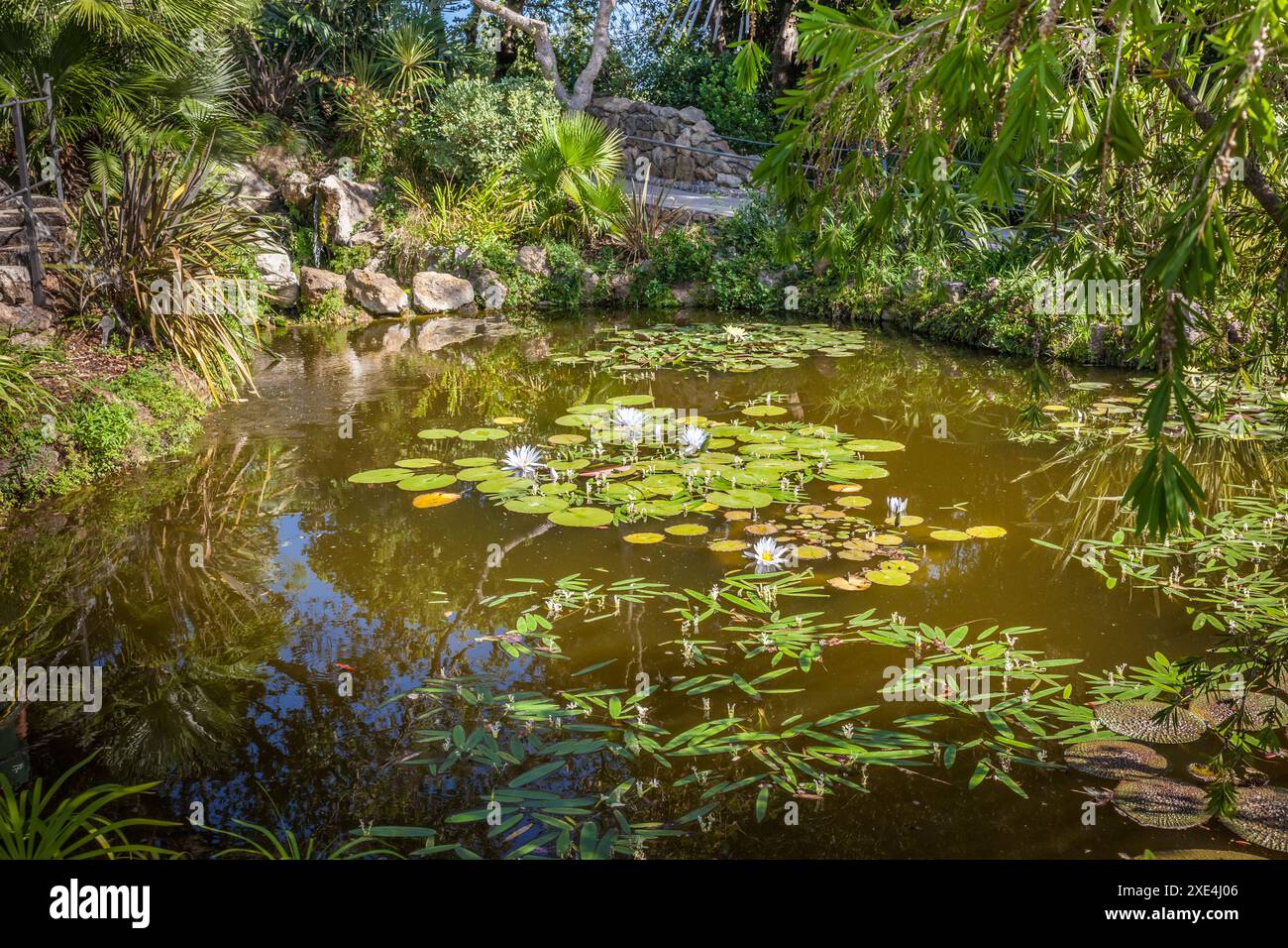 geography / travel, Italy, Campania, Lily pond in La Mortella garden in ...