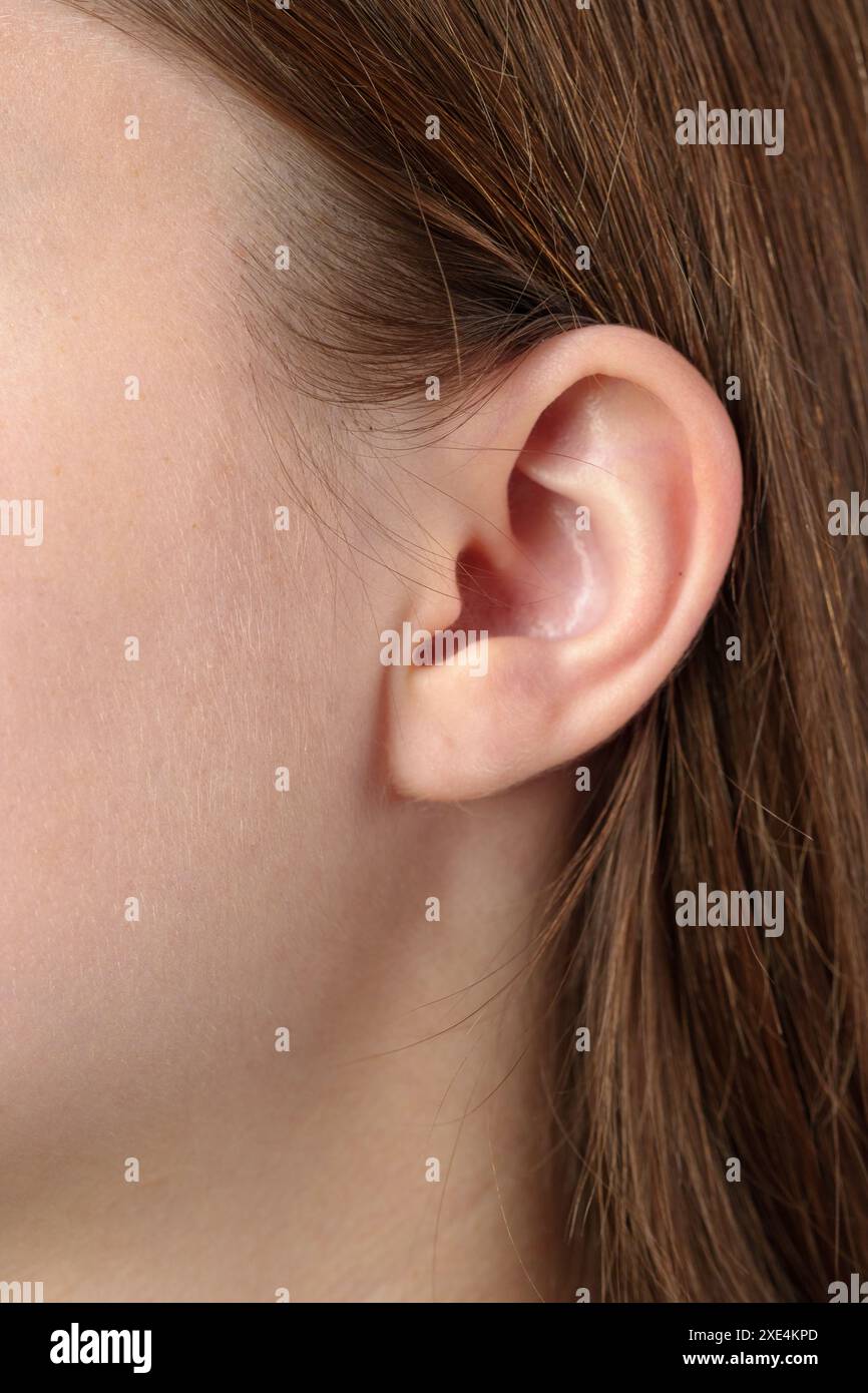 Close-Up View of a Human Ear and Brown Hair Stock Photo - Alamy