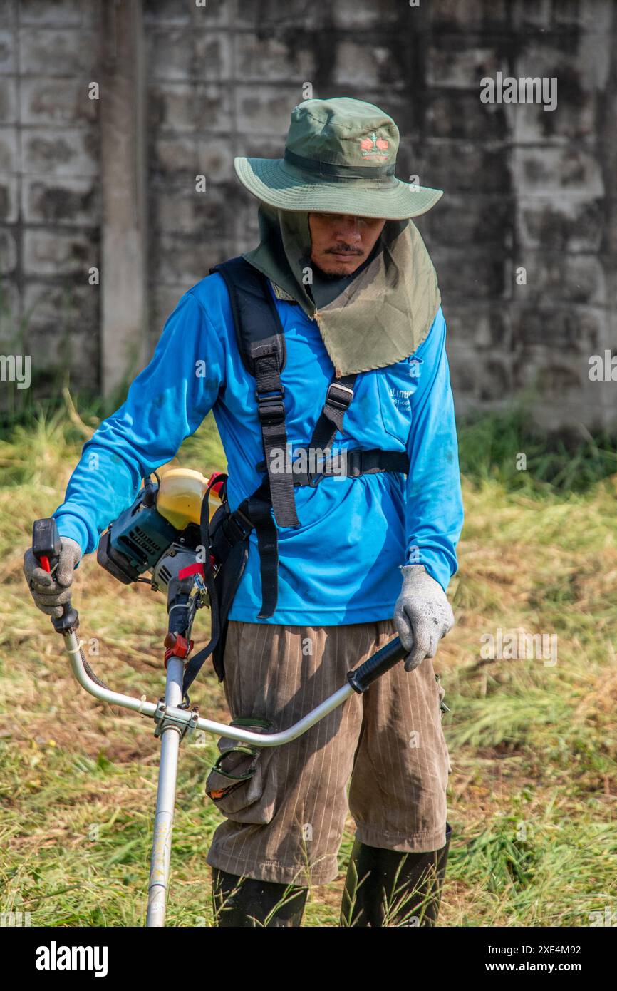 Men strimmer field, brush cutter Stock Photo - Alamy