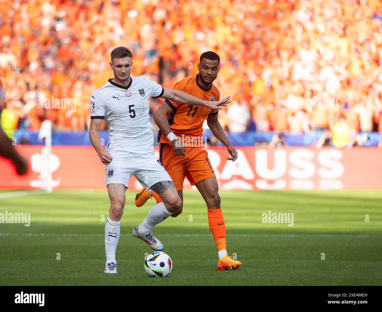 Stefan Posch (Oesterreich, #05) im Zweikampf mit Cody Gakpo (Niederlande, #11), GER, Netherlands ...