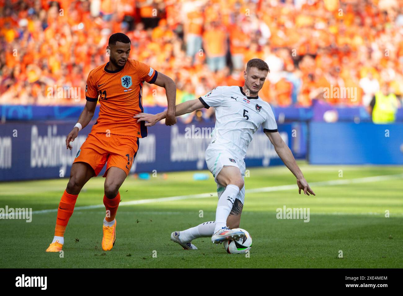 Stefan Posch (Oesterreich, #05) im Zweikampf mit Cody Gakpo (Niederlande, #11), GER, Netherlands ...