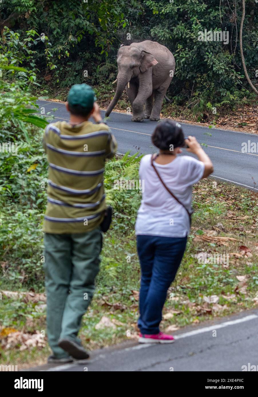 Wild animal ranger hi-res stock photography and images - Alamy
