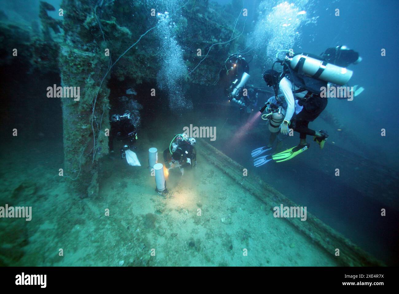 Divers are pictured after collecting World War II remains from the ...