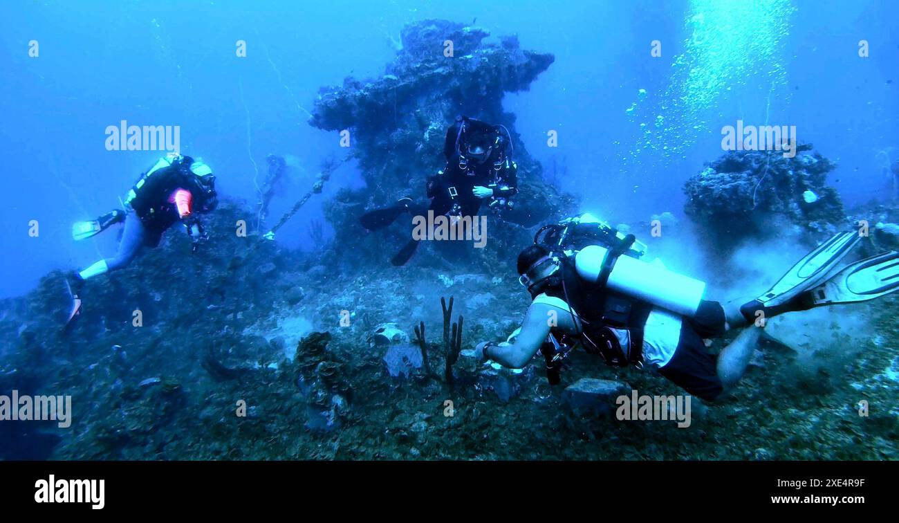 Divers are pictured after collecting World War II remains from the ...