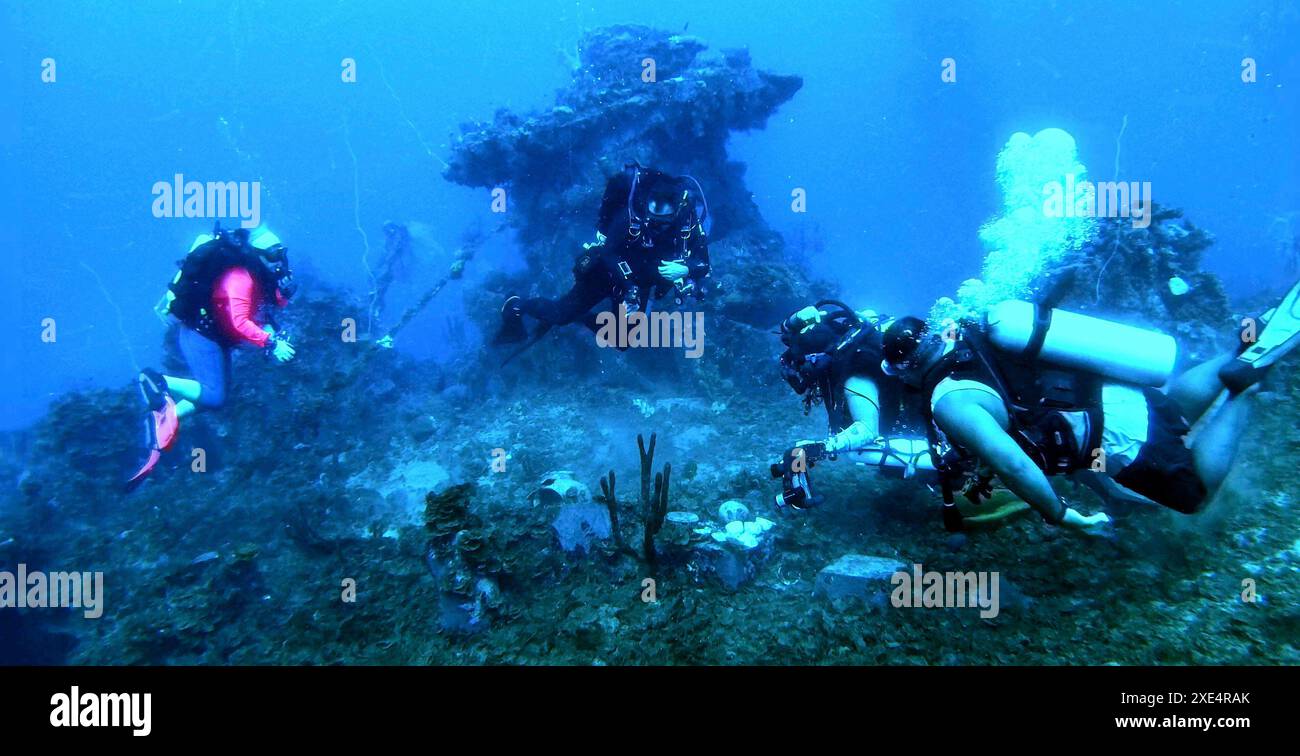 Divers are pictured after collecting World War II remains from the ...