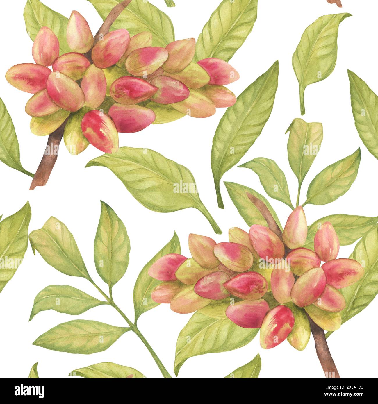 Seamless pattern with pistachio tree fruits, leaves watercolor ...