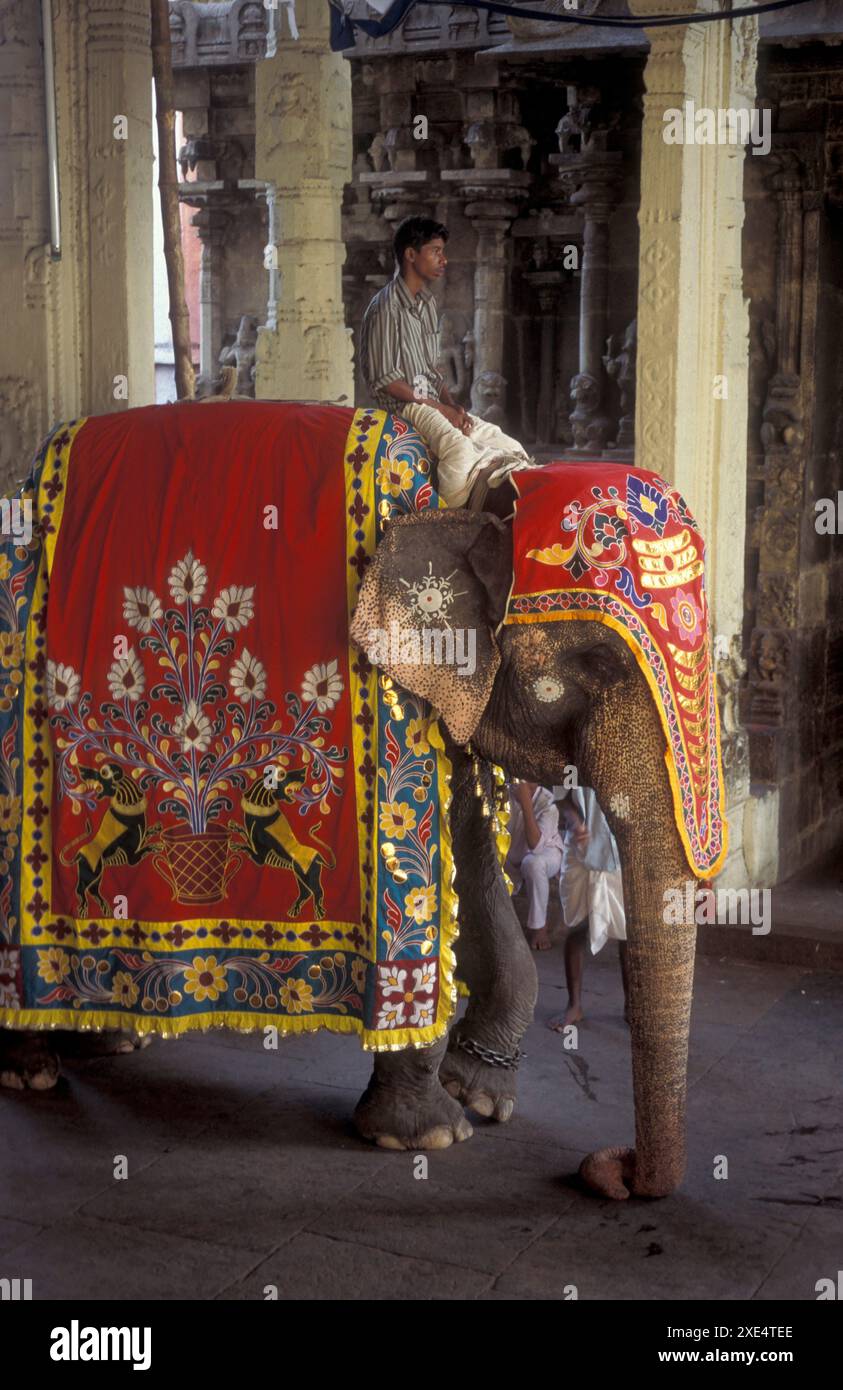 a Hindu Elephant ceremony in the Meenakshi Amman Temple in the city of ...