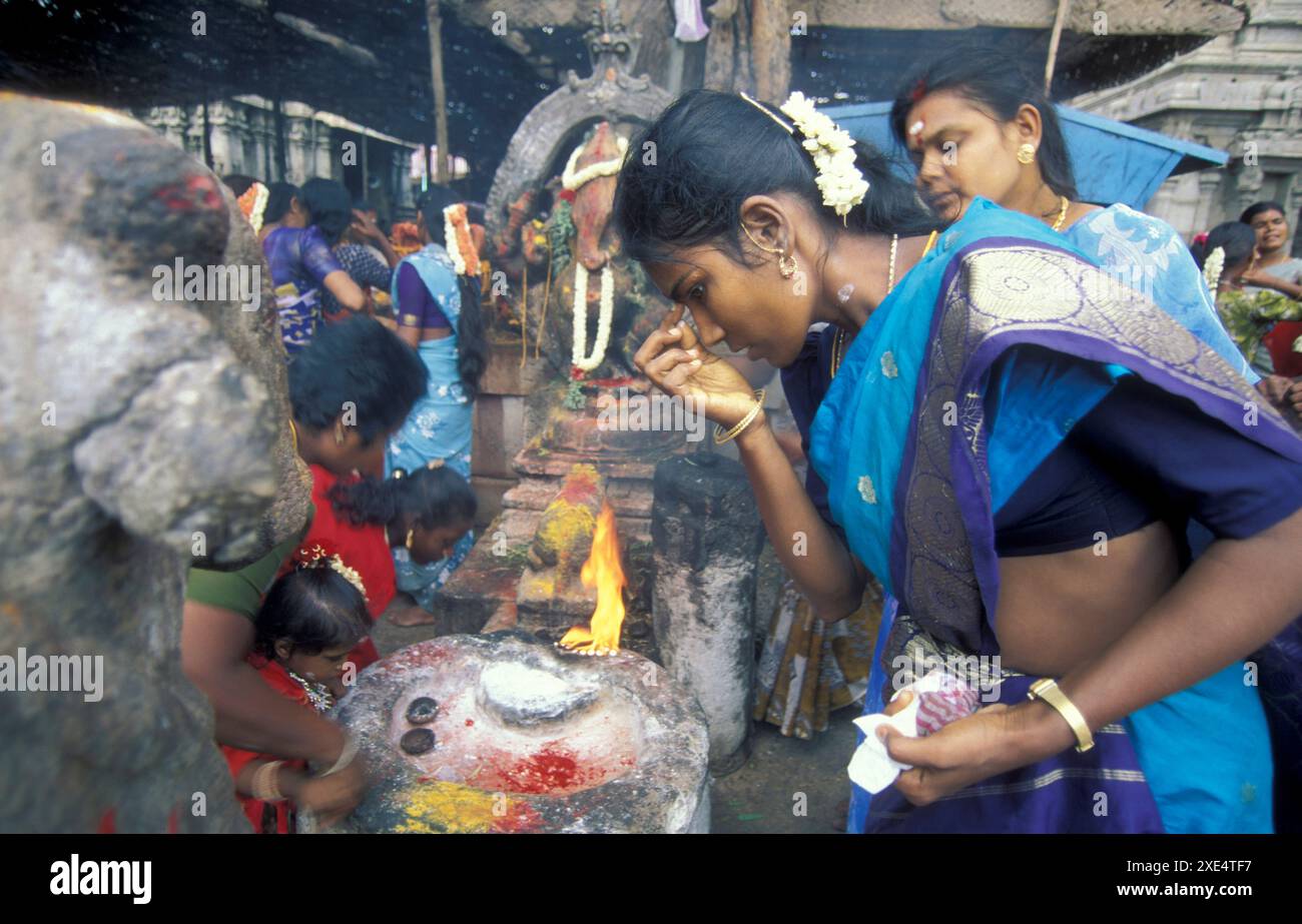 Hindu Pilgrim at a ceremony in the Meenakshi Amman Temple in the city ...
