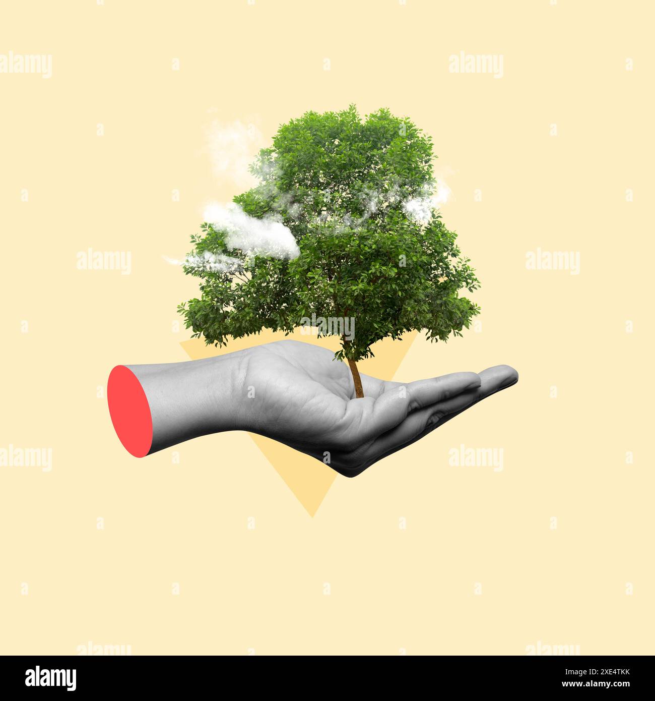 A human hand showing a green tree with a colored background. Collage ...