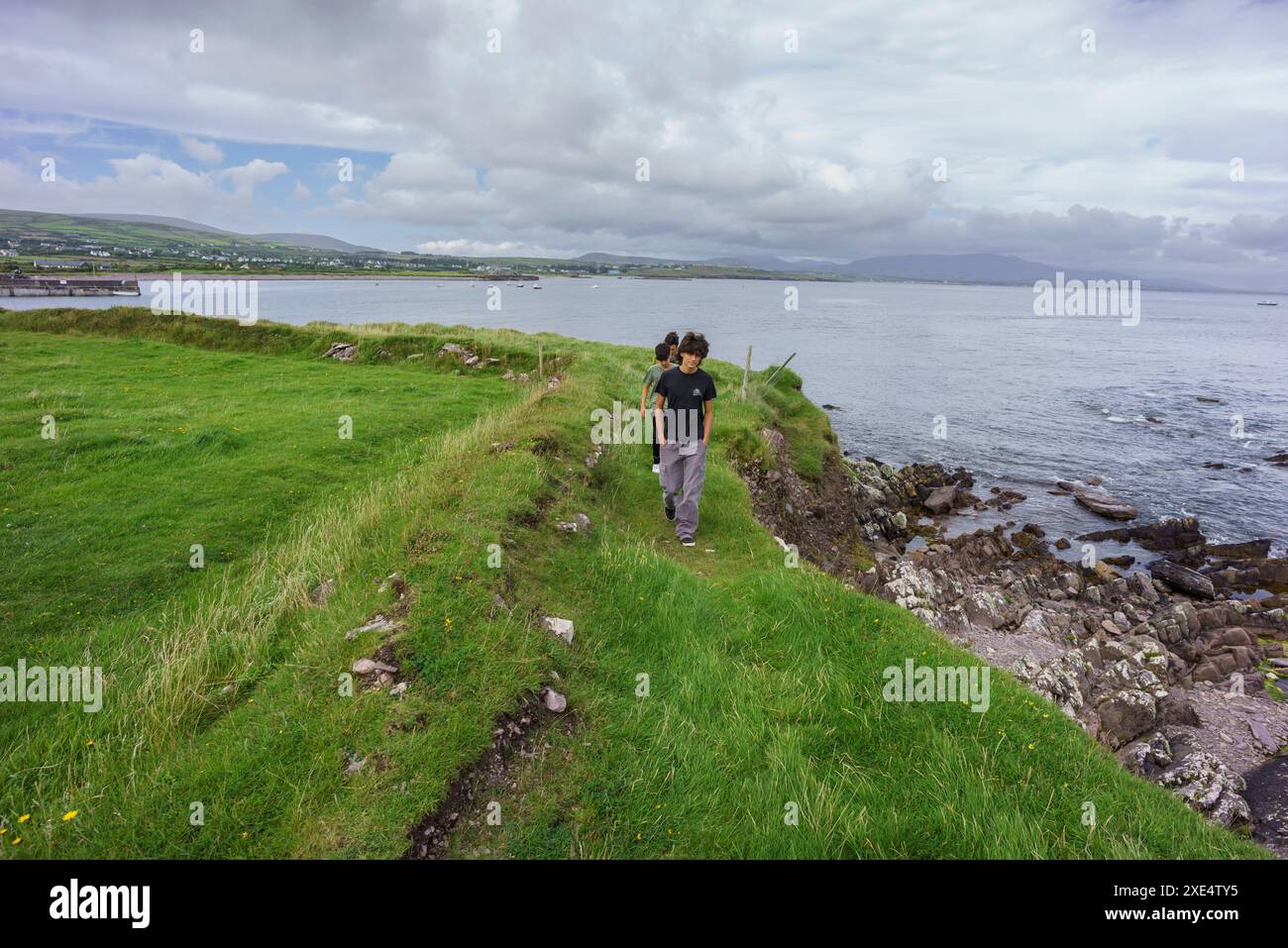 Walking along the grassy coast Stock Photo - Alamy
