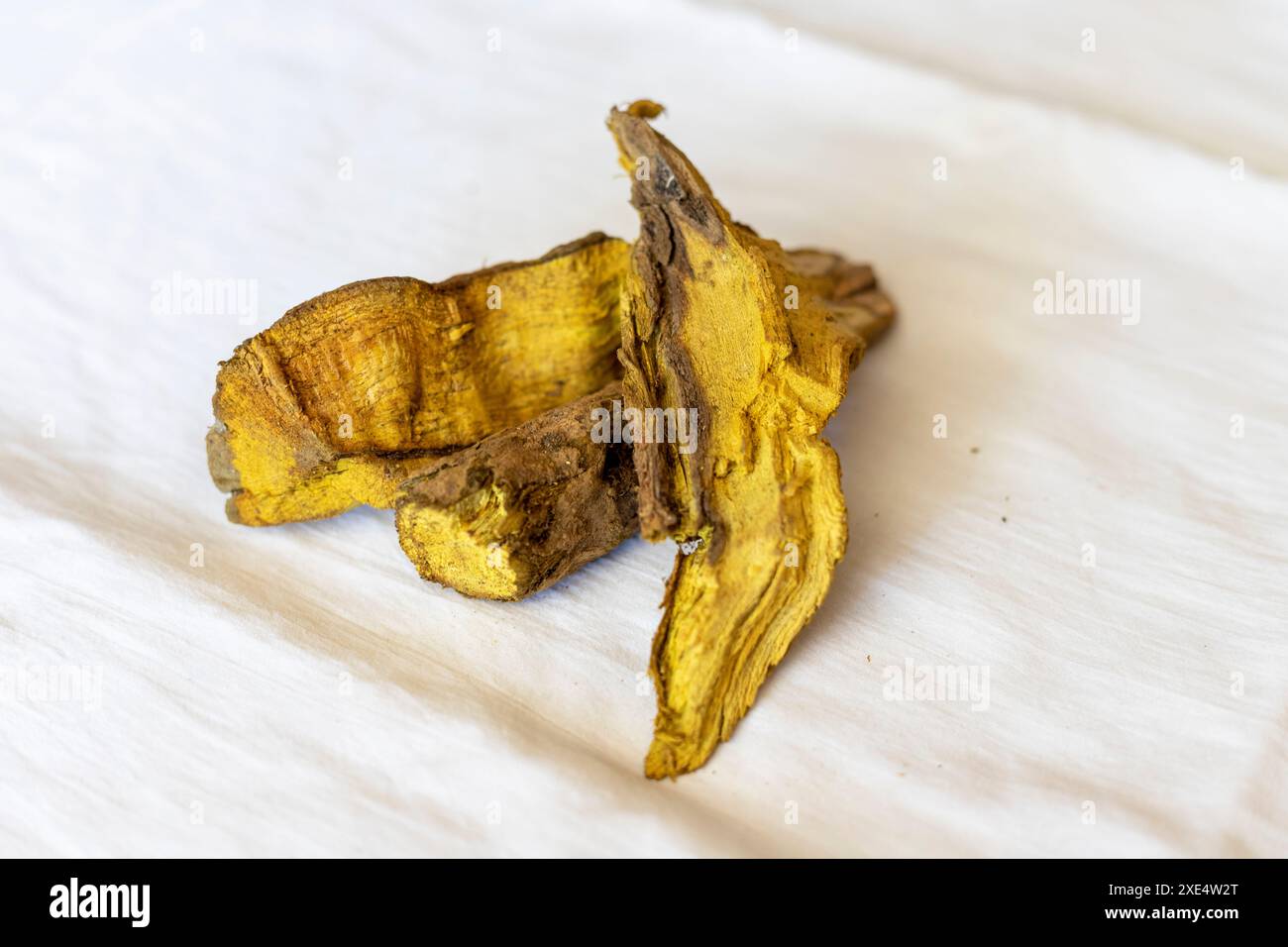 Dried Yellow Root Herb on White Background Stock Photo - Alamy