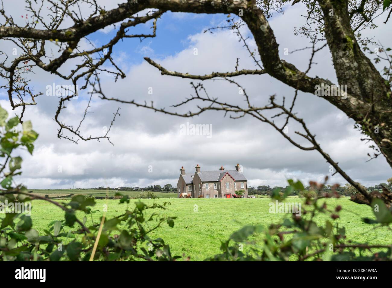 Farm near Kinsale Stock Photo - Alamy