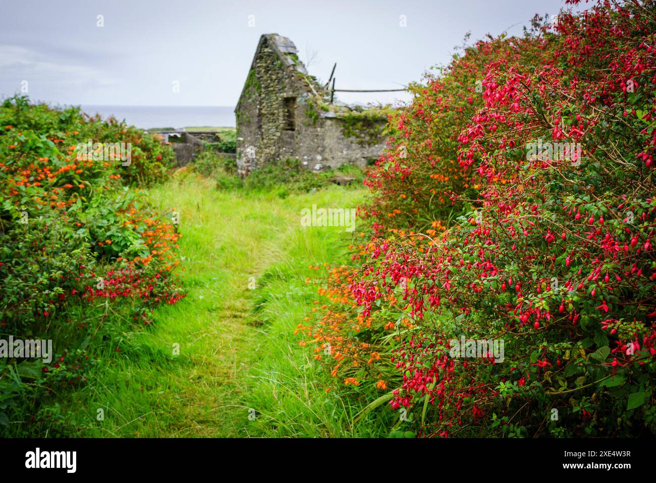old houses, Eyeries, Beara Peninsula, County Cork, Ireland, United ...