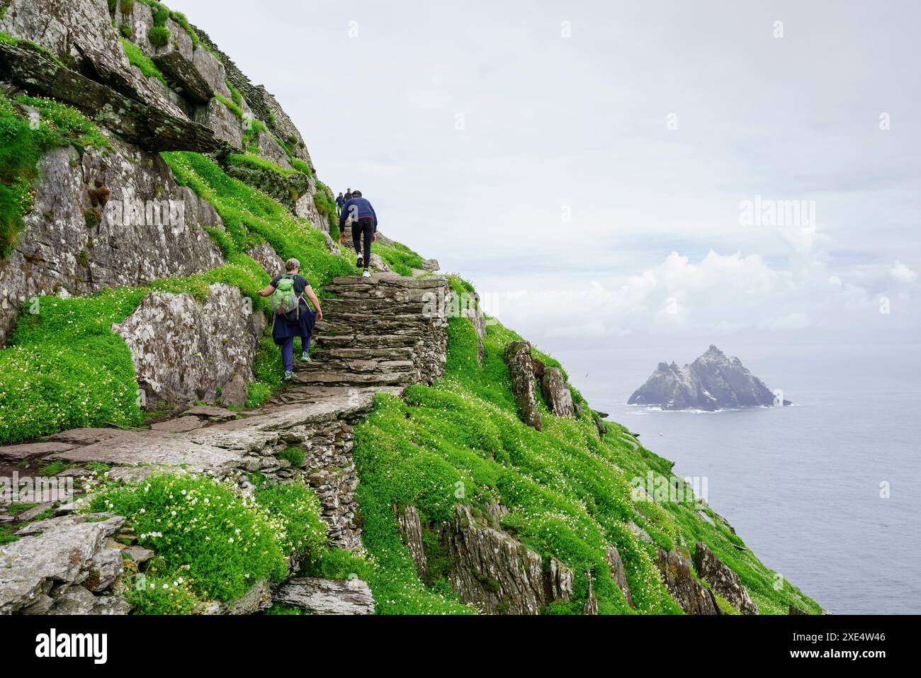 Steep steps on hiking path hi-res stock photography and images - Alamy