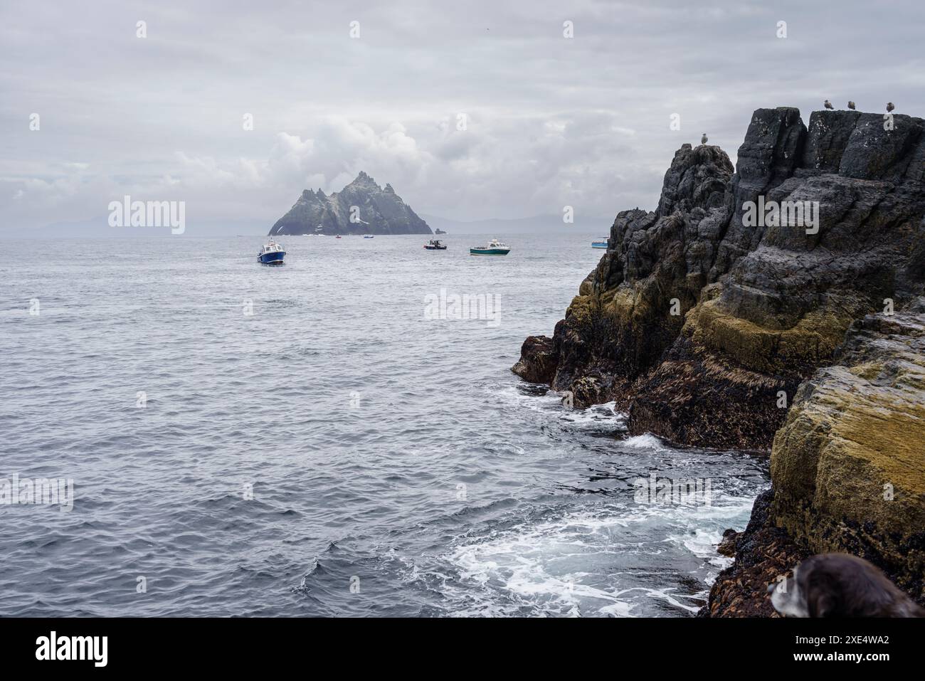Visitor disembarkation port Stock Photo - Alamy