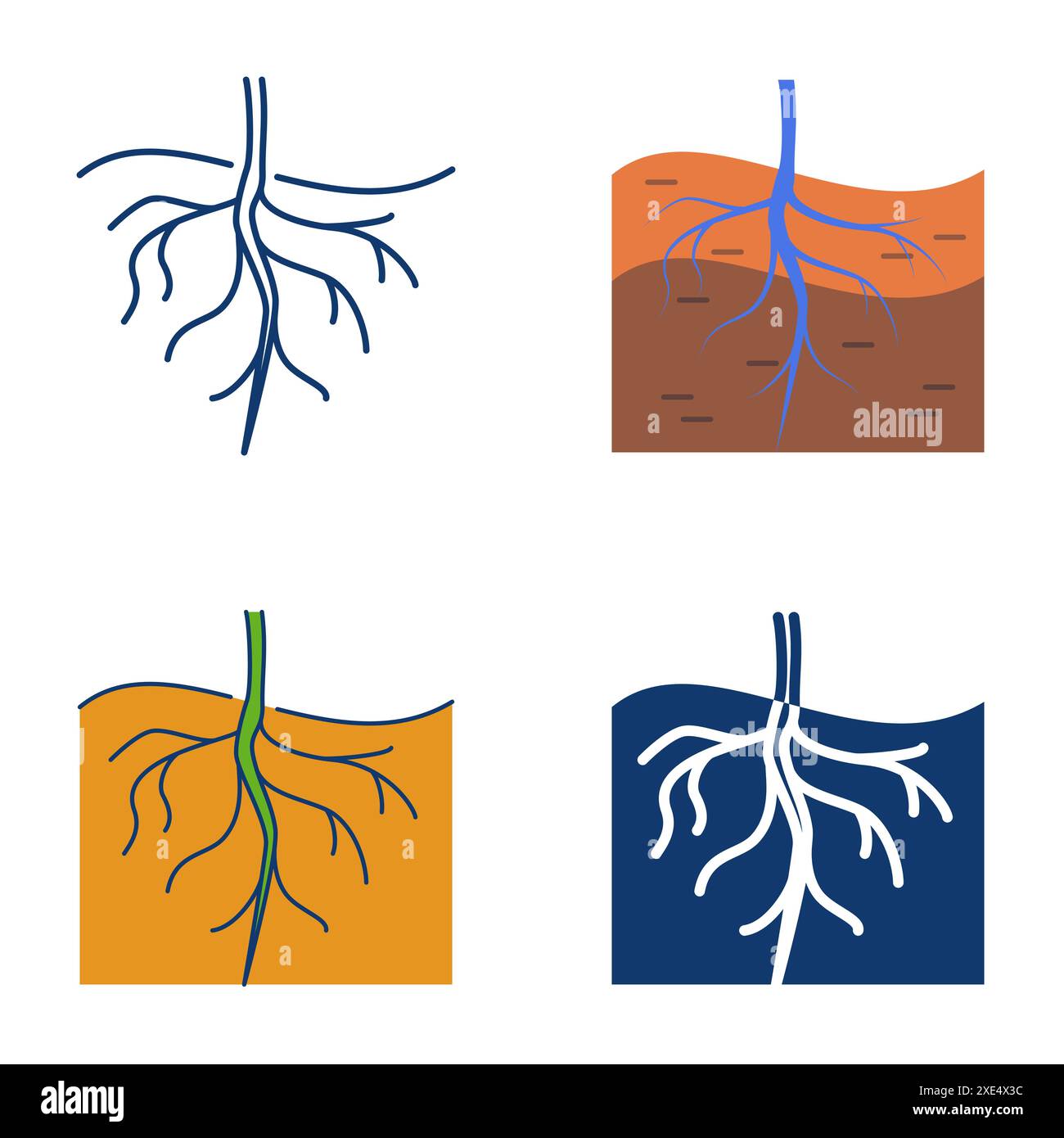 Root of a plant icon set in flat and line style. Keep living roots ...