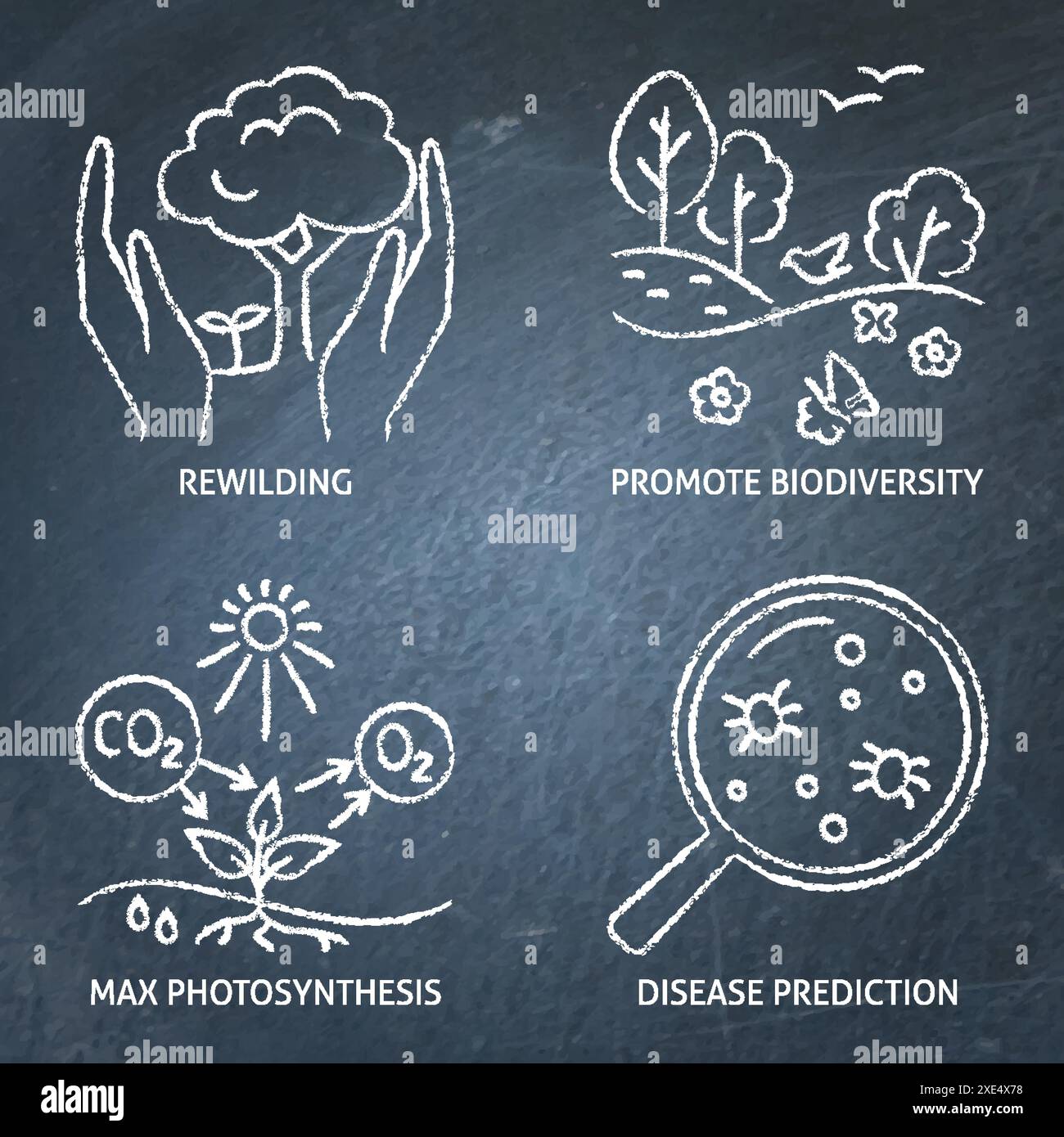 Nature conservation and protection icon set on chalkboard. Biodiversity ...