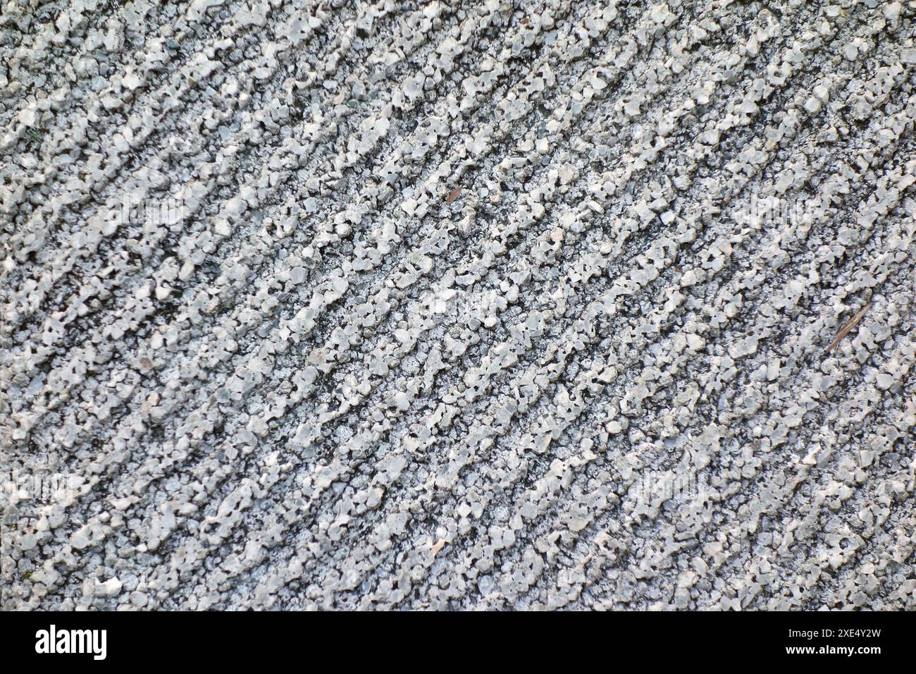 Grey building wall hi-res stock photography and images - Alamy