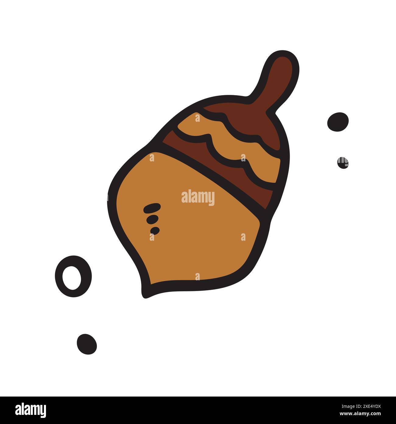 Hand drawn acorn. Vector illustration in Doodle style. Isolated on ...