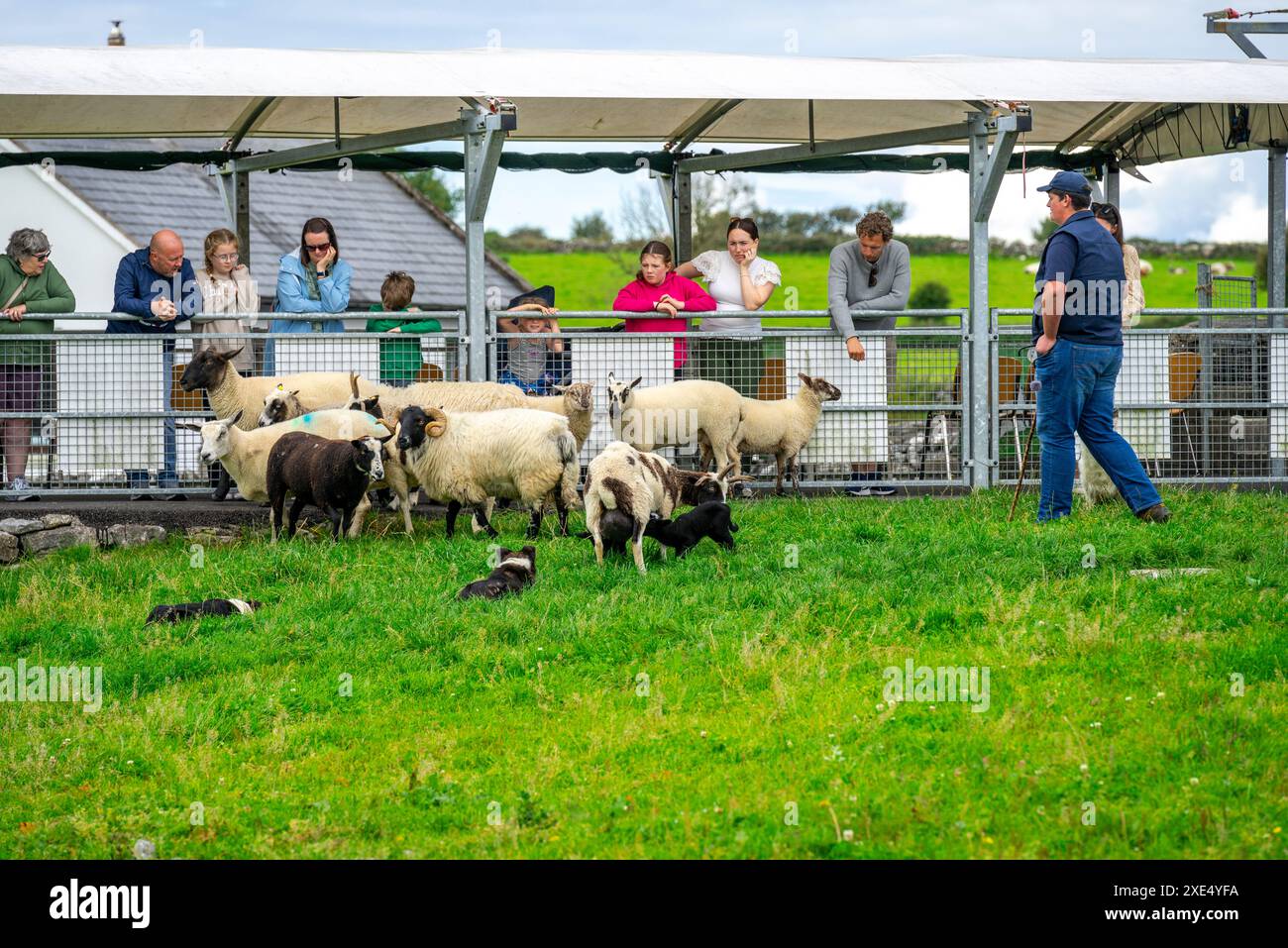 Training sec hi-res stock photography and images - Alamy