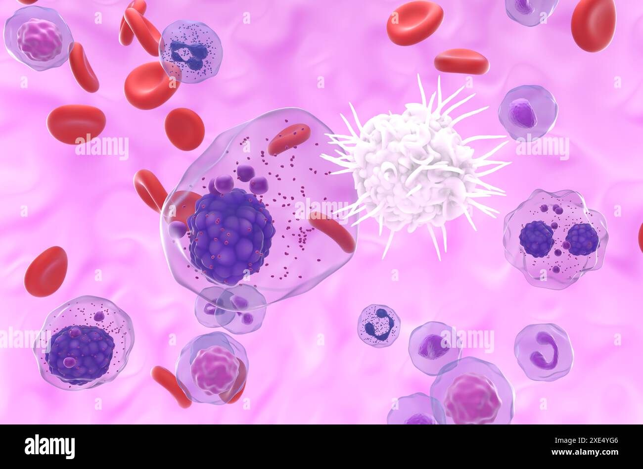 Dendritic cell (DC) recognize Multiple myeloma (MM) - closeup view 3d ...