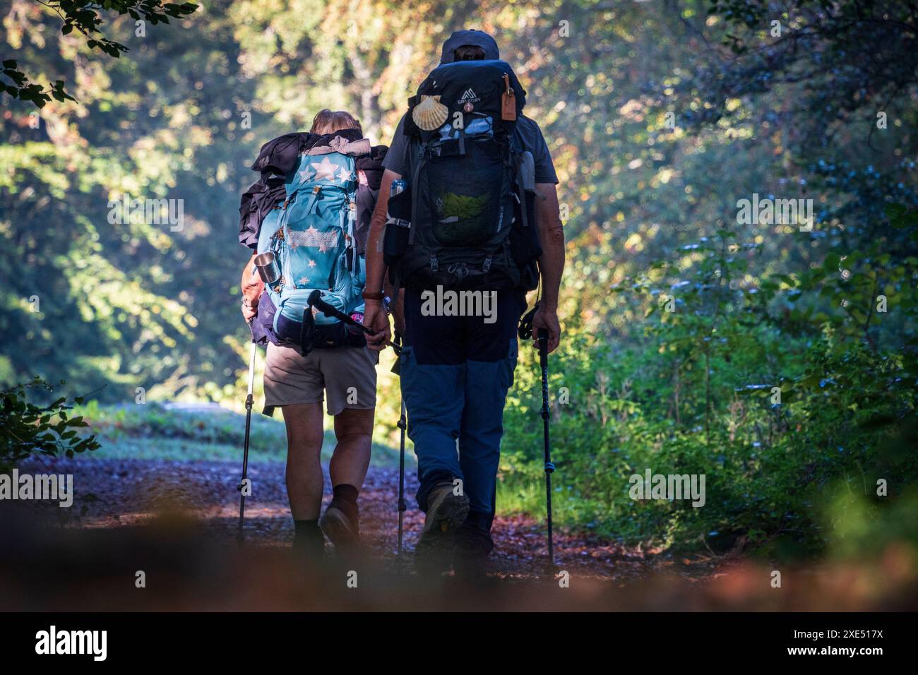 Pilgrims walking on the path Stock Photo - Alamy