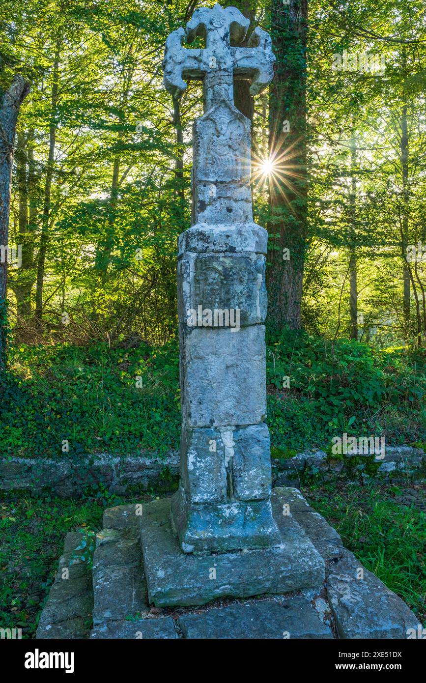 Pilgrims' cross at the exit of Roncesvalles Stock Photo - Alamy