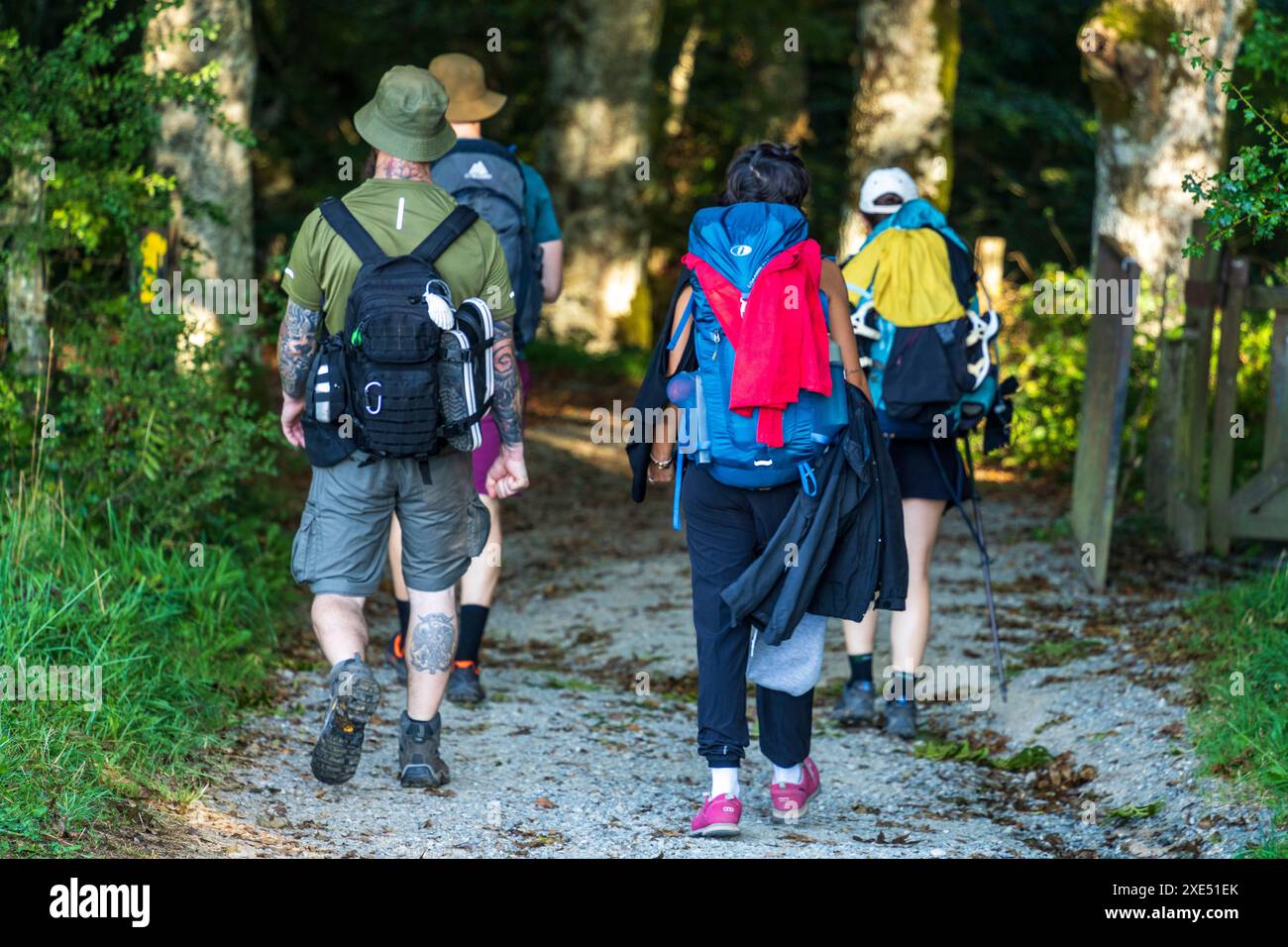 Pilgrims walking on the path Stock Photo - Alamy